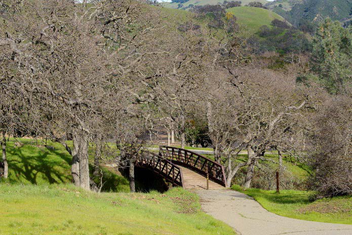 Recreational Trails Program (RTP) Non-Motorized