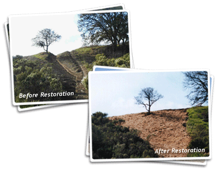 Oak Tree Restoration (Hollister Hills SVRA)