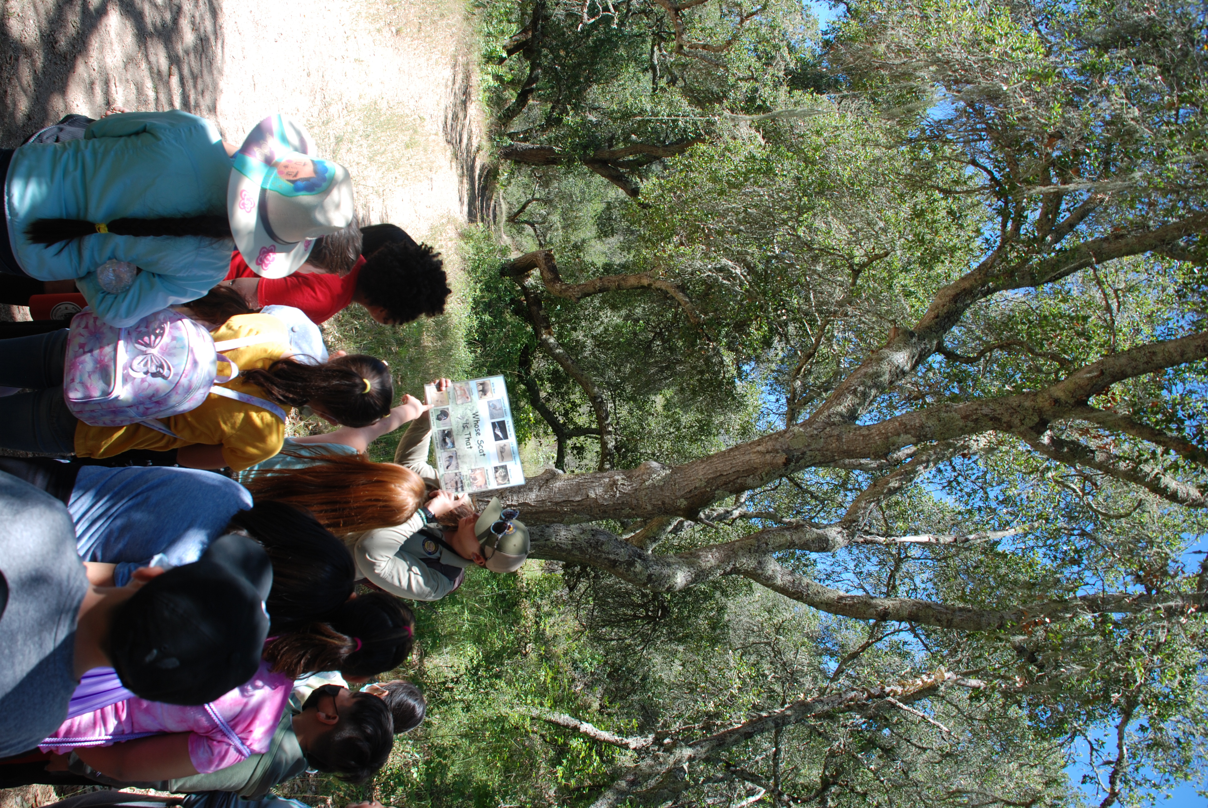 Education Programs
