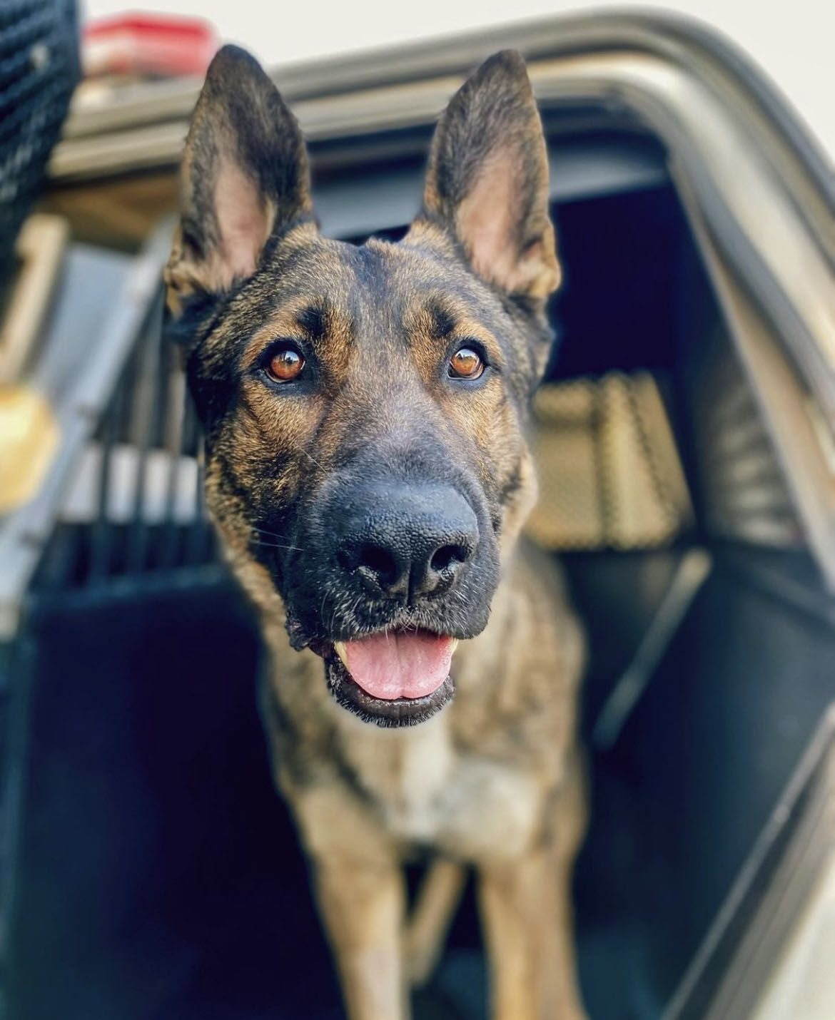K-9 Program