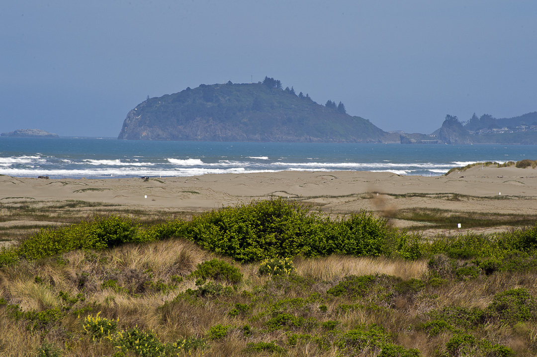 Little River State Beach